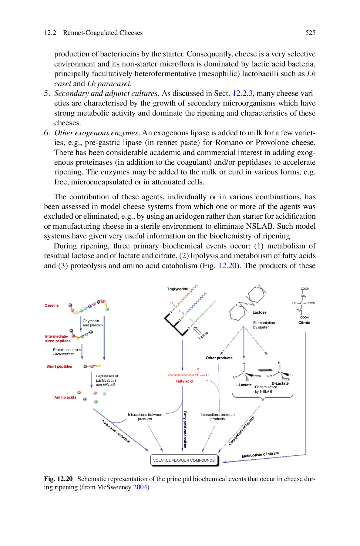 Dairy Chemistry and Biochemistry - BiotAU website - Page 540 | Flip PDF ...
