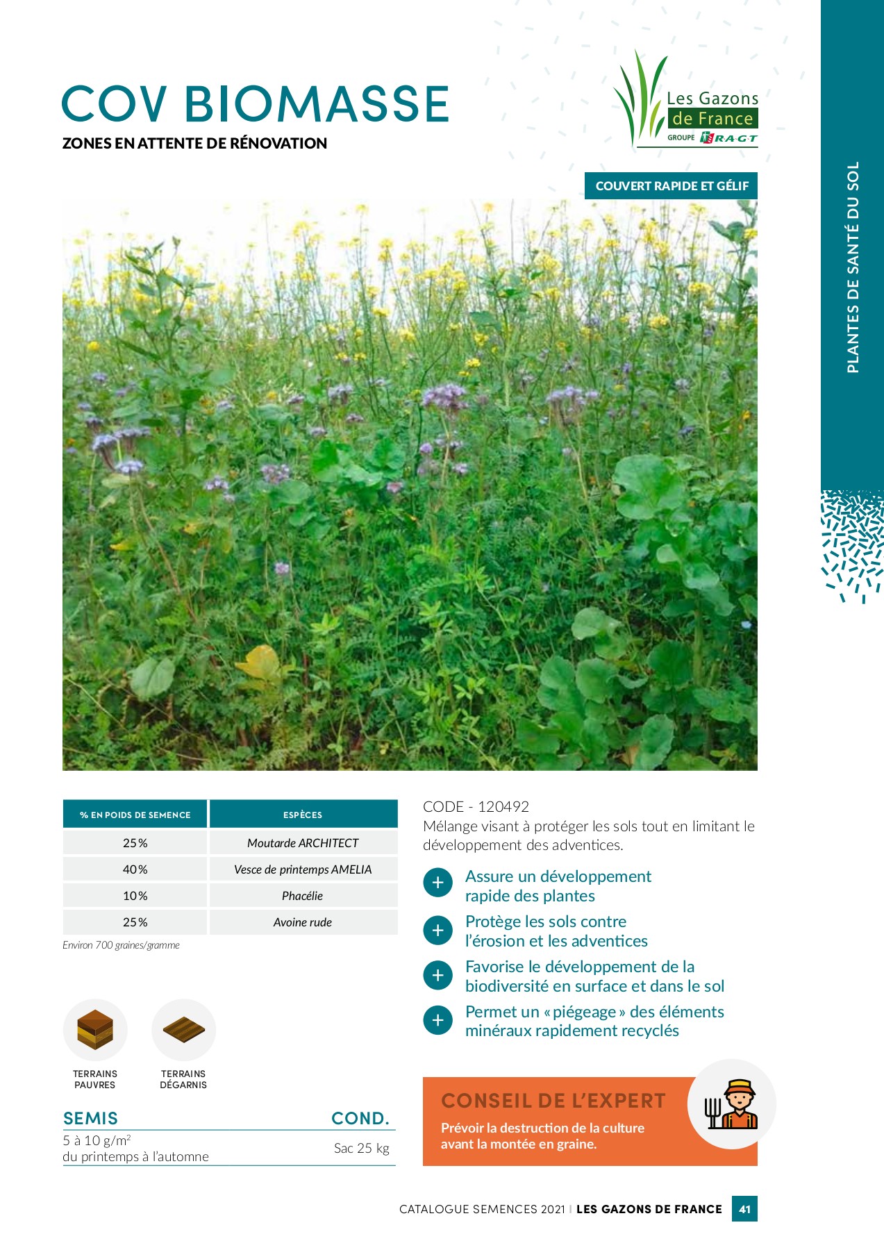 Guide Semences 2021 - ComMark Dept - RAGT - Page 41 | PDF Feuilletable ...