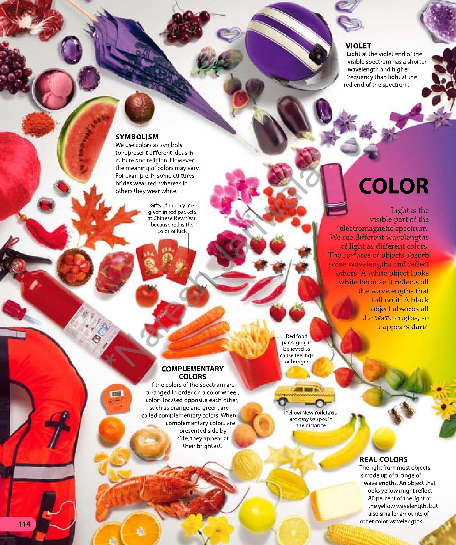 DK - One Million Things Series - A Visual Encyclopedia - Vector's ...