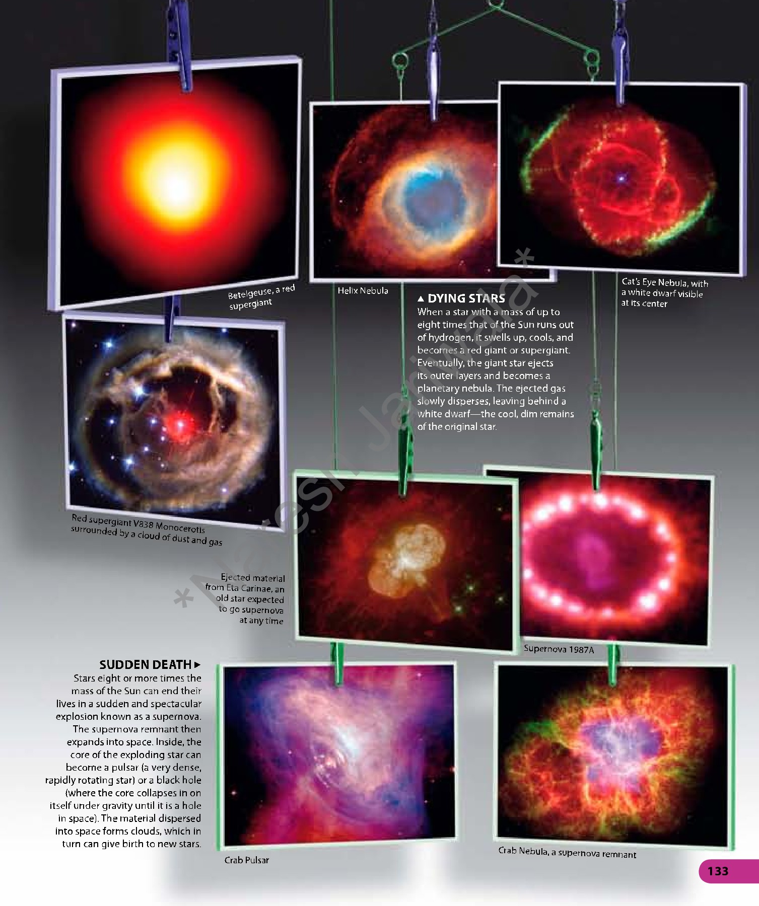 DK - One Million Things Series - A Visual Encyclopedia - Vector's ...