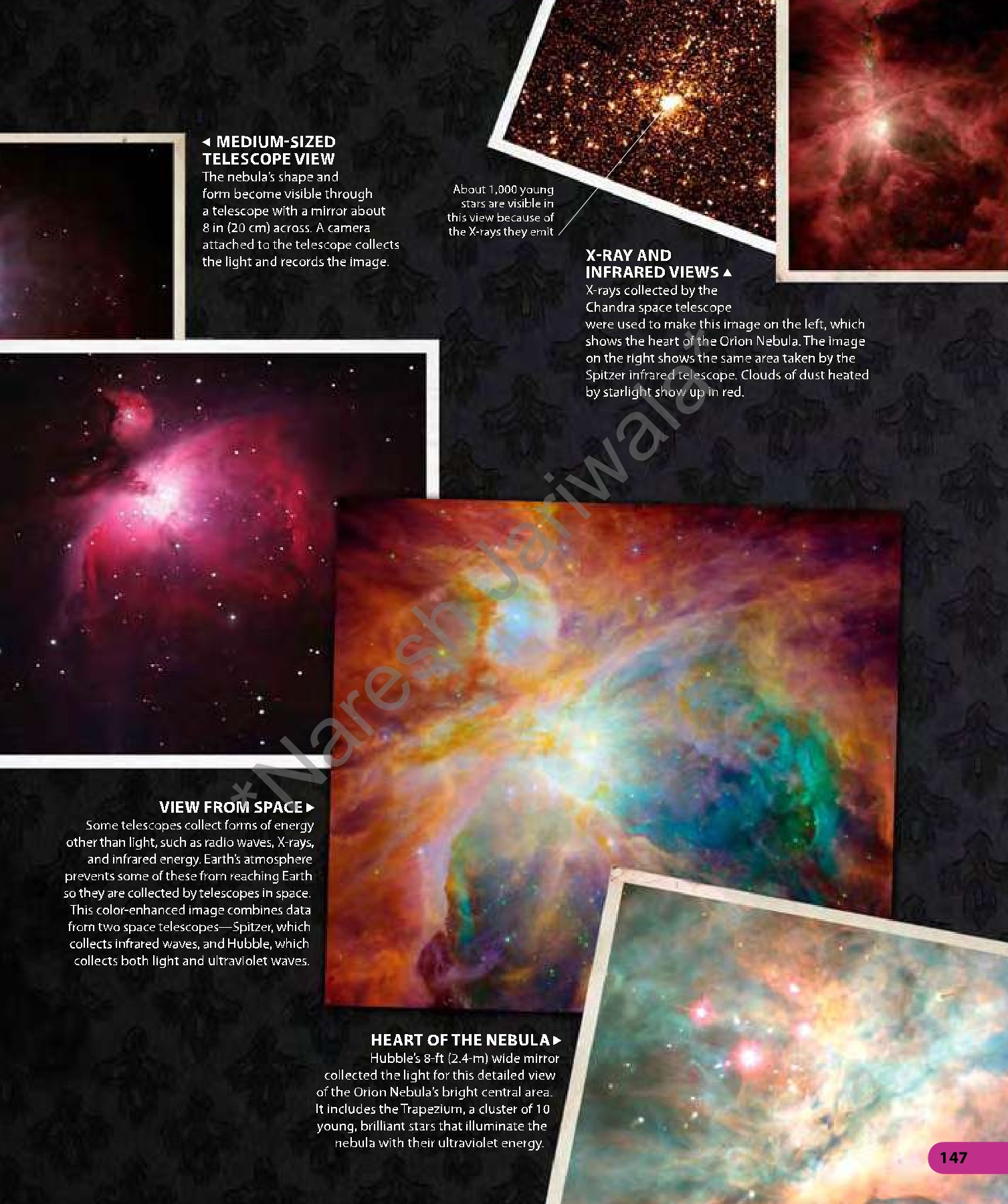 DK - One Million Things Series - A Visual Encyclopedia - Vector's ...