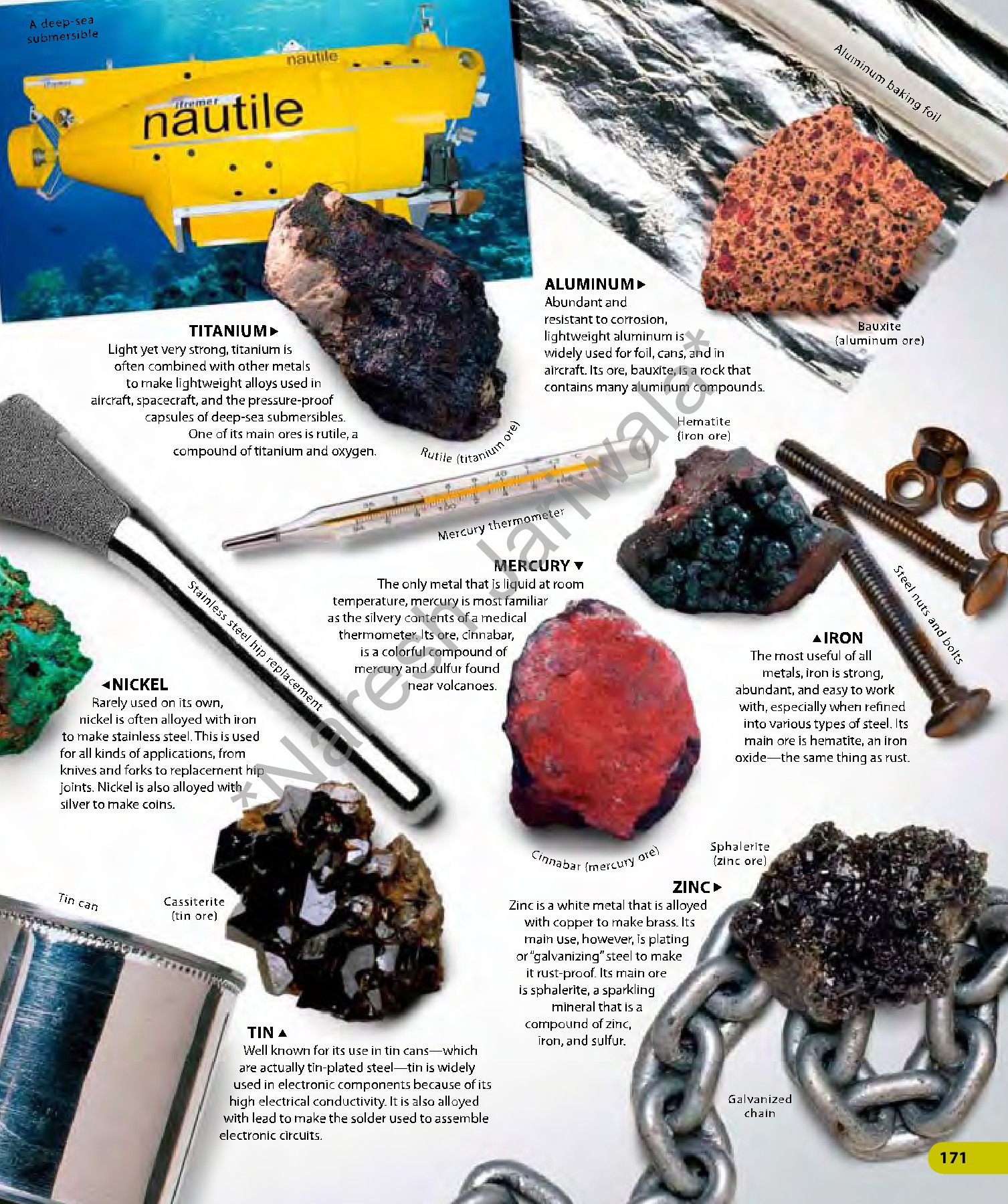 DK - One Million Things Series - A Visual Encyclopedia - Vector's ...