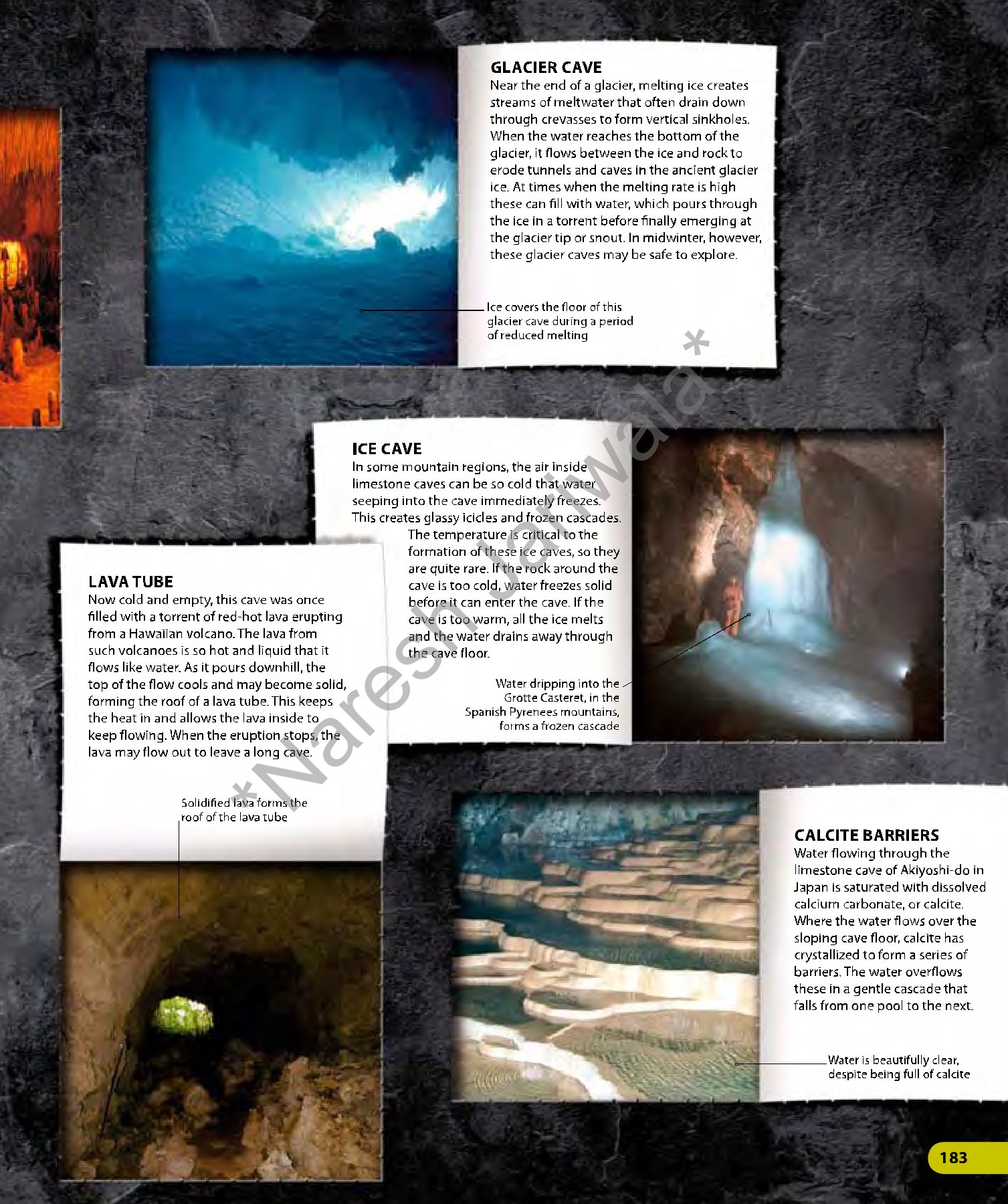 DK - One Million Things Series - A Visual Encyclopedia - Vector's ...