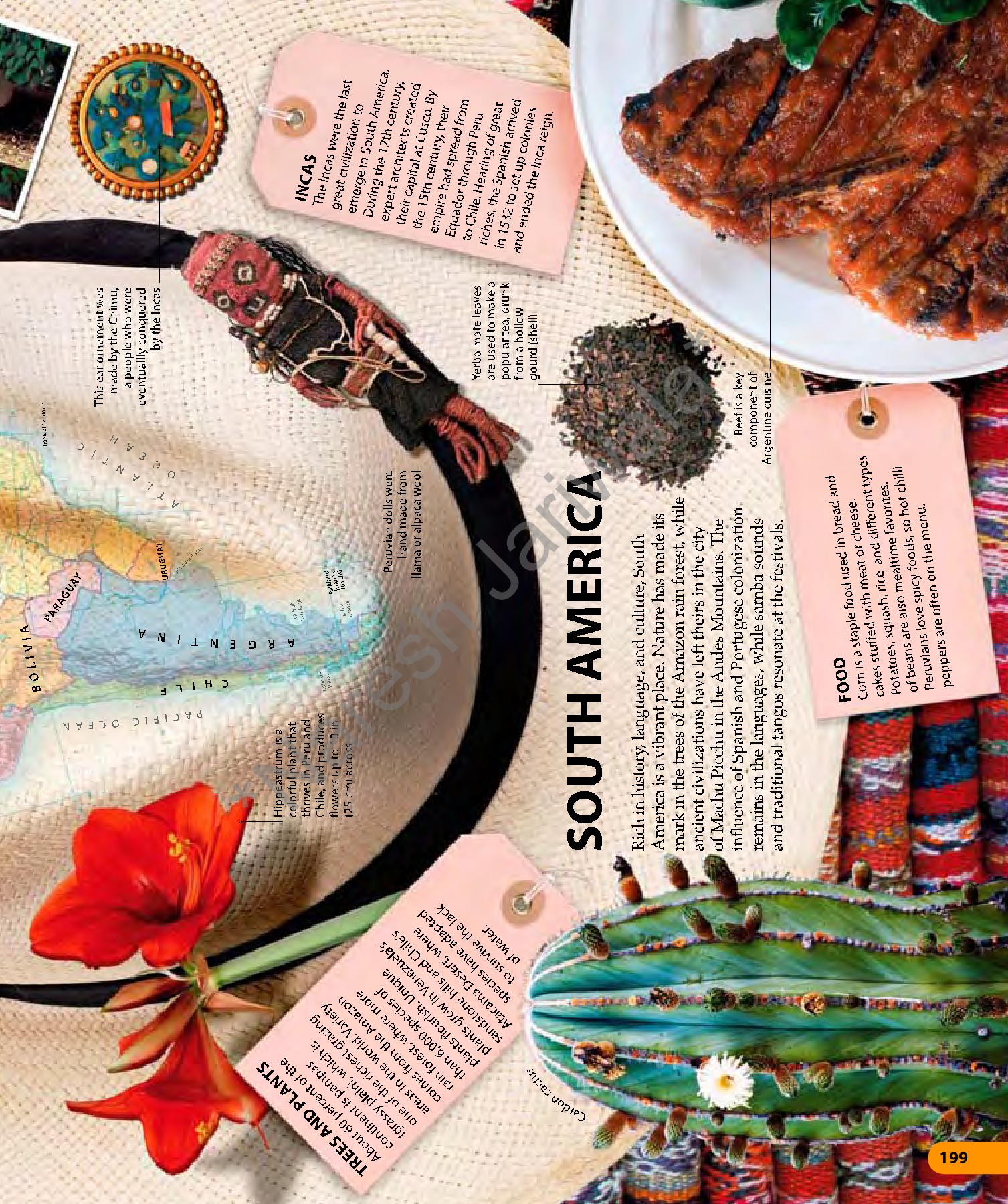 DK - One Million Things Series - A Visual Encyclopedia - Vector's ...