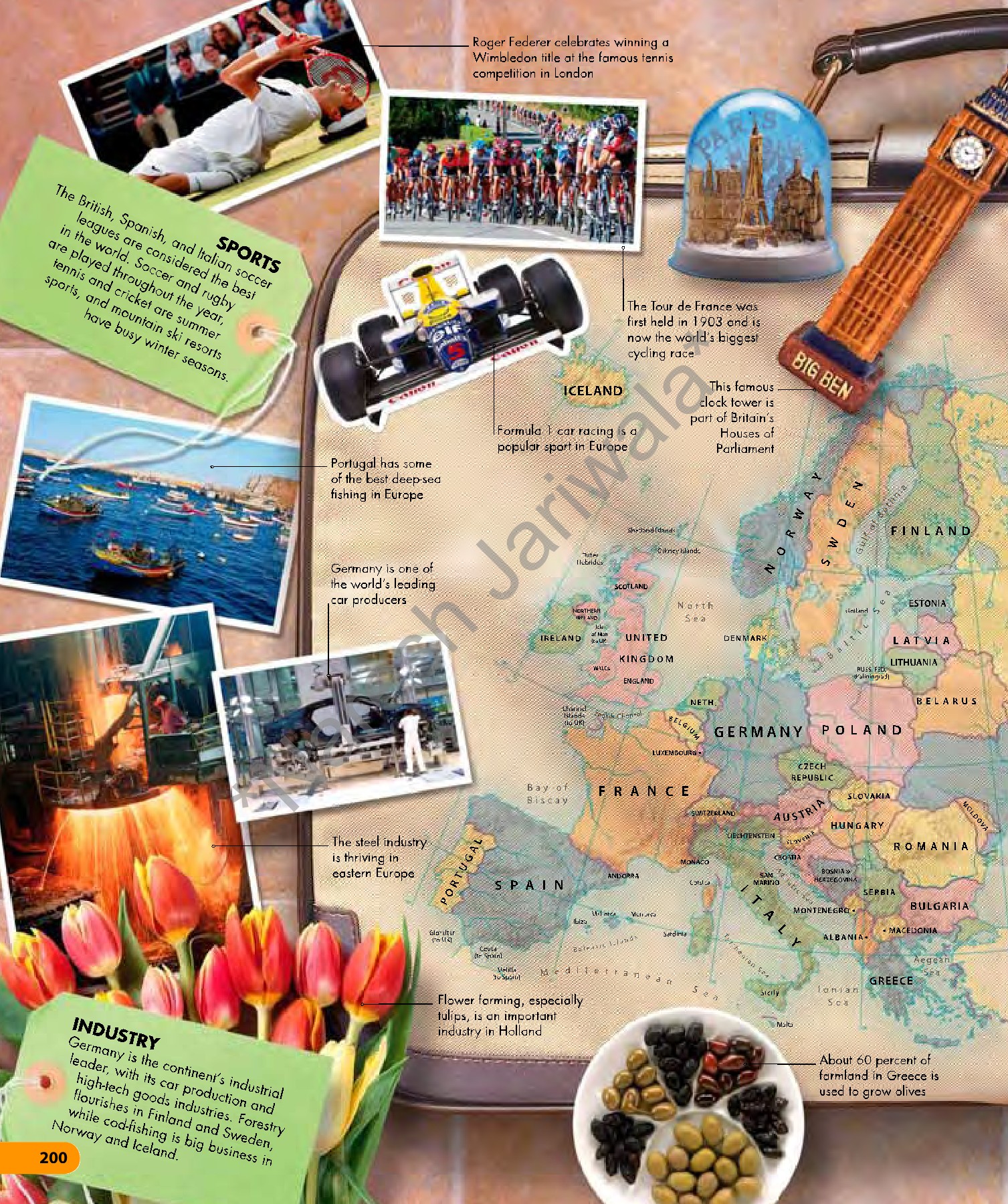 DK - One Million Things Series - A Visual Encyclopedia - Vector's ...