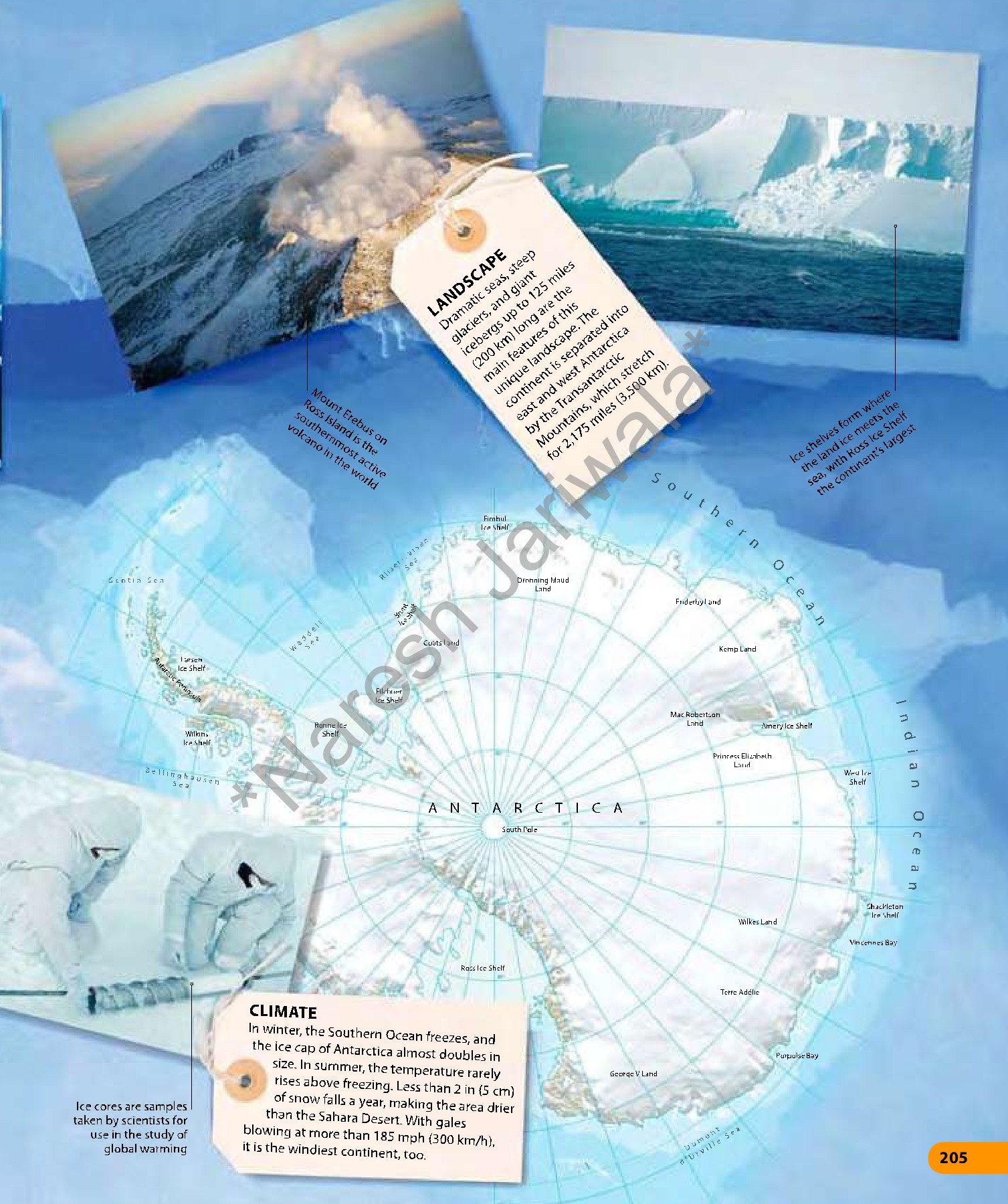 DK - One Million Things Series - A Visual Encyclopedia - Vector's ...