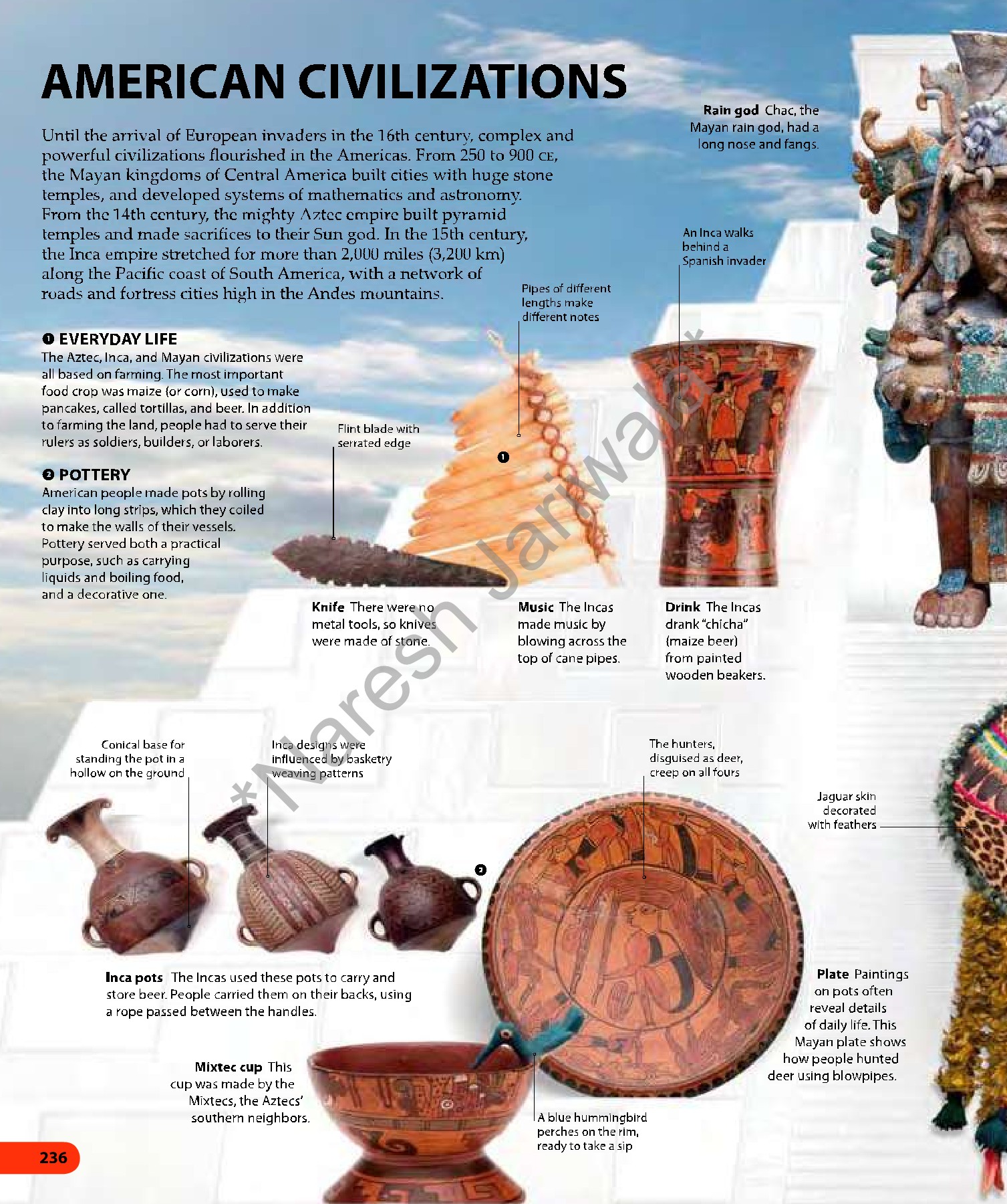 DK - One Million Things Series - A Visual Encyclopedia - Vector's ...