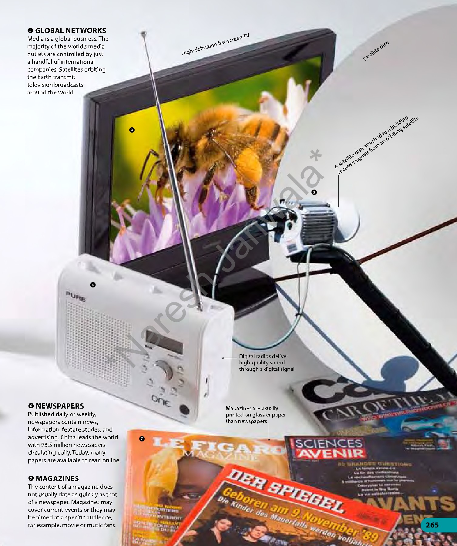 DK - One Million Things Series - A Visual Encyclopedia - Vector's ...