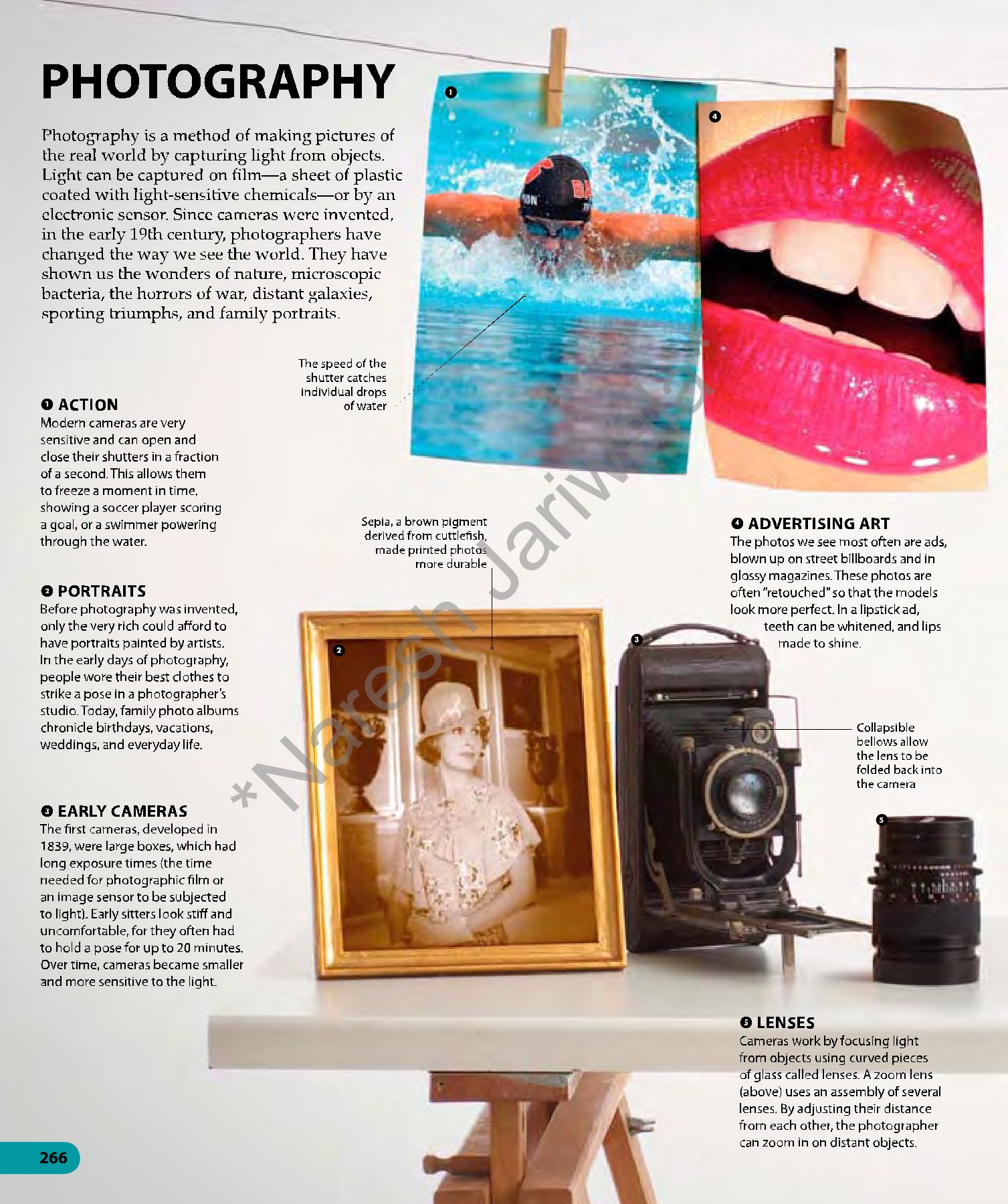 DK - One Million Things Series - A Visual Encyclopedia - Vector's ...