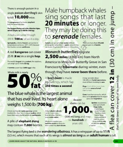 DK - One Million Things Series - A Visual Encyclopedia - Vector's ...