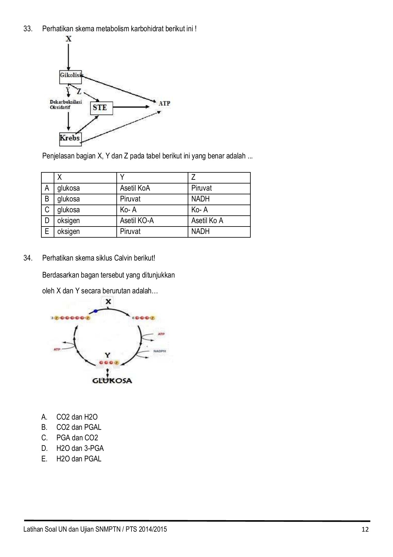 LATIHAN-UN-IPA-PAKET-A - genmedianet - Halaman 73 | PDF Online | PubHTML5