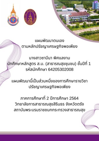 แผนพัฒนาตนเอง ตามหลักปรัชญาเศรษฐกิจพอเพียง