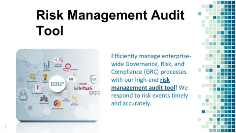 Risk Management Audit Tool