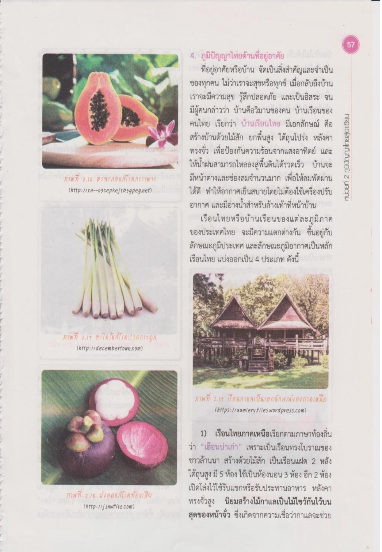 บทที่2 - araya.016986 - Page 14 | Flip PDF Online | PubHTML5