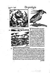 Prodigiorum Ac Ostentorum Chronicon - M - Stránka 284 | Překlopení PDF ...