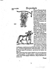 Prodigiorum Ac Ostentorum Chronicon - M - Stránka 620 | Překlopení PDF ...