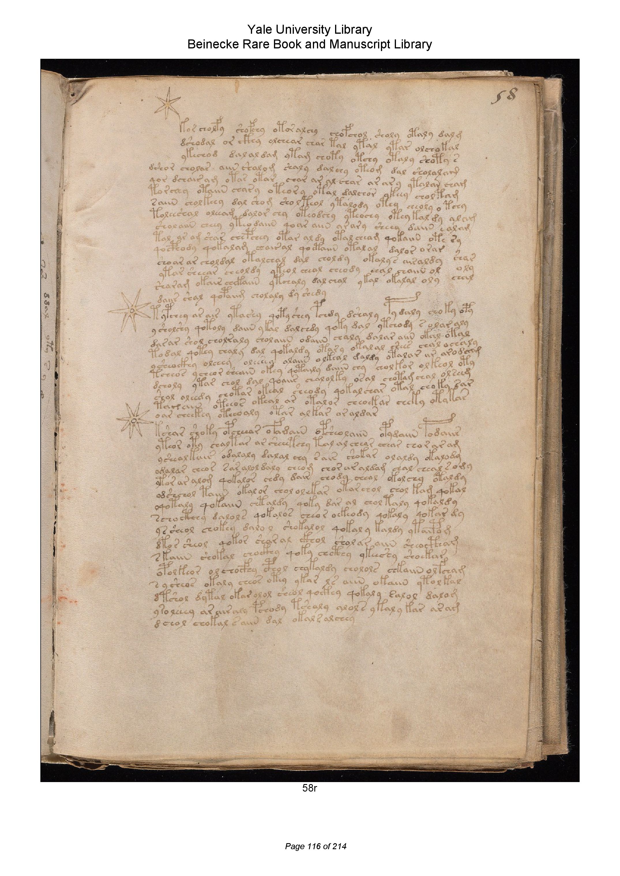 The Voynich Manuscript - M - Page 116 | Flip PDF Online | PubHTML5