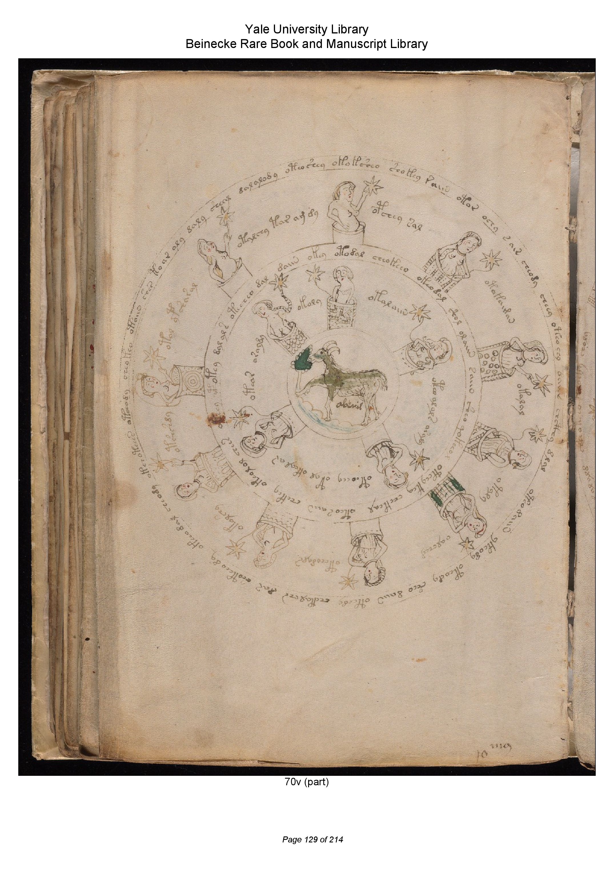 The Voynich Manuscript - M - Page 129 | Flip PDF Online | PubHTML5