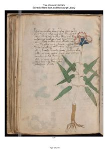 The Voynich Manuscript - M - Page 107 | Flip PDF Online | PubHTML5