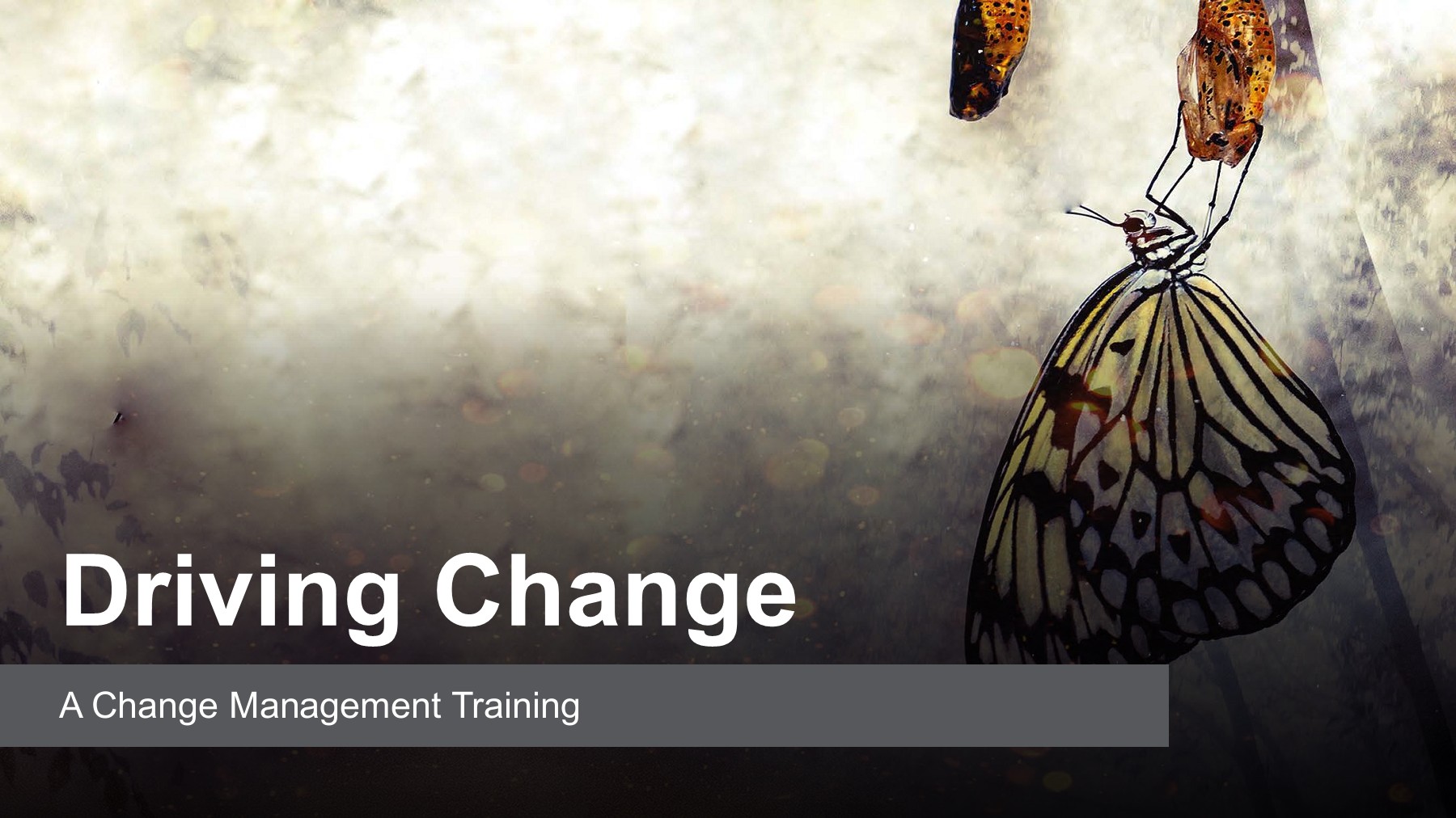 Driving Change_GBS_ASEAN_Participants - watcharabordinth_t - Page 1 ...