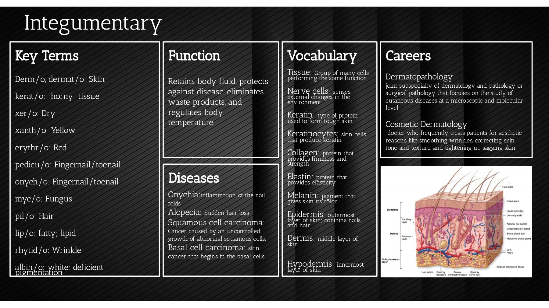 46c30fea-9565-4afb-82d0-e615016bd7e6 - Lauren Duong - Page 1 - 9 | Flip ...