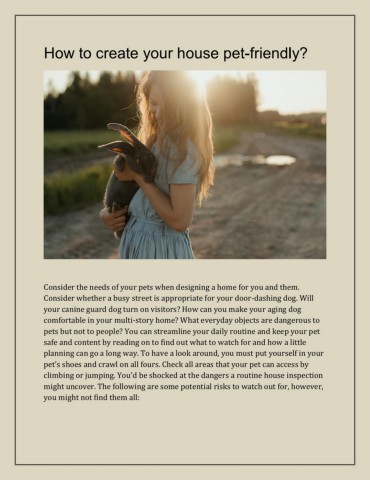 How to create your house pet-friendly