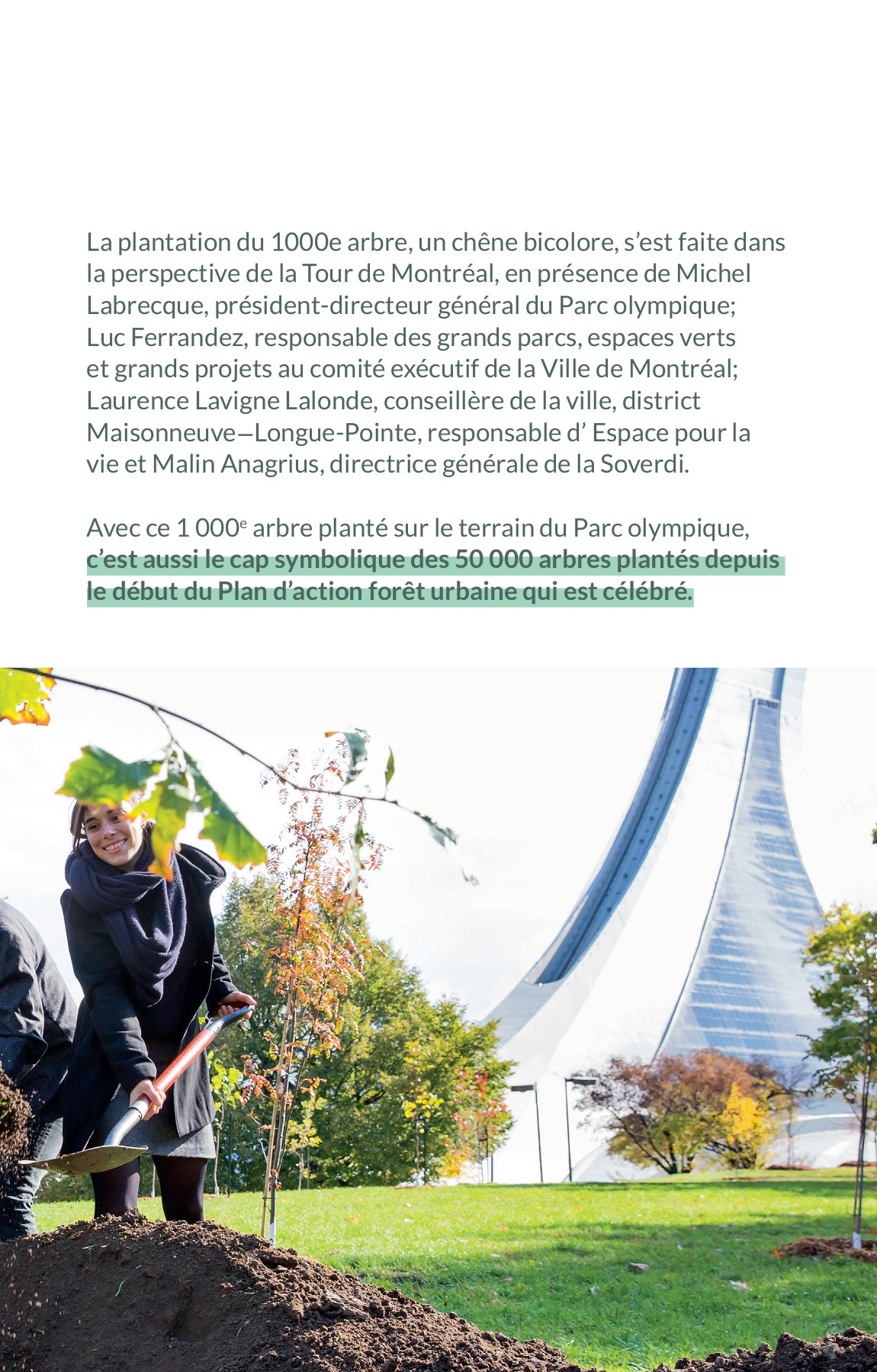 Soverdi - Rapport annuel 2018 - Jessyca Farrugia - Page 31 | PDF ...