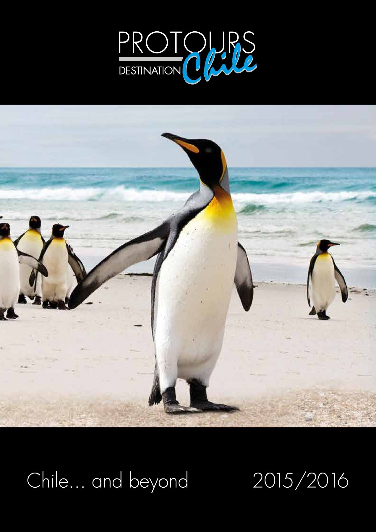 PROTOURS MANUAL 2015 - Luis Yagi Protours - Page | Flip PDF Online ...