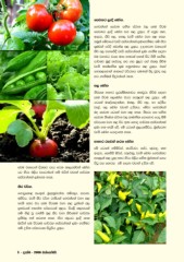 Dakma Magazine October 2016 - dilum.chaminda - Page 8 | Flip PDF Online ...