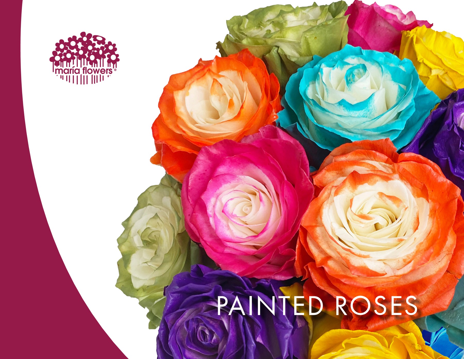 CATALOGO2 - MARIA FLOWERS INTERNATIONAL - Page 1 - 16 | Flip PDF Online ...