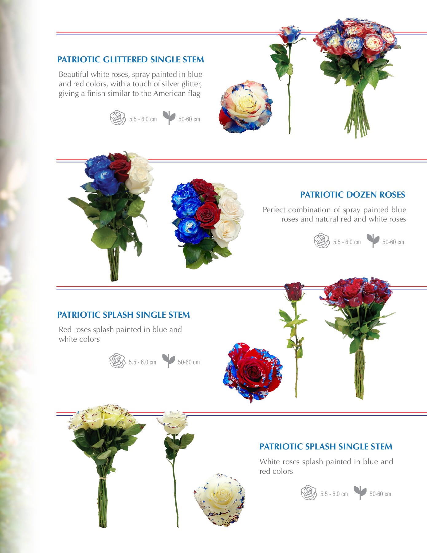 Prueba de Catalogo - MARIA FLOWERS INTERNATIONAL - Page 3 | Flip PDF ...