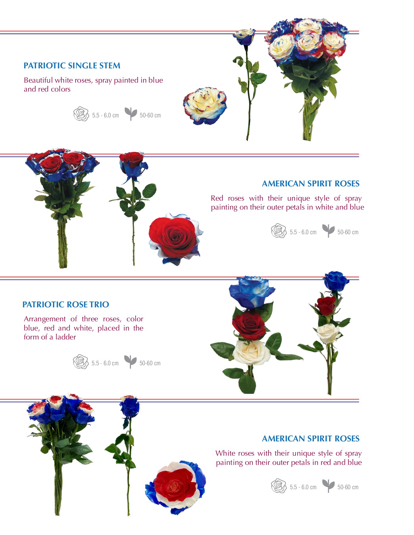 Prueba de Catalogo - MARIA FLOWERS INTERNATIONAL - Page 4 | Flip PDF ...