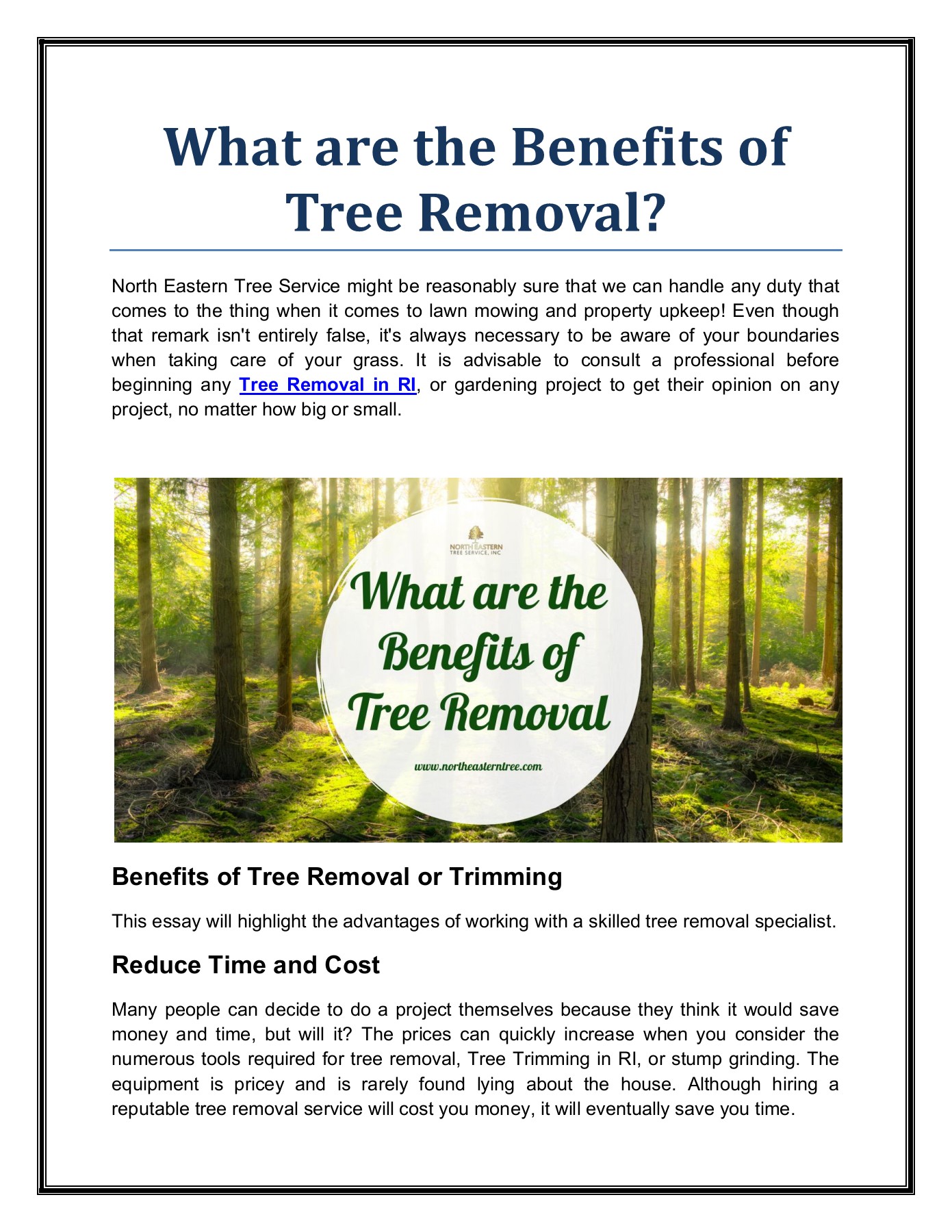 What are the Benefits of Tree Removal - North Eastern Tree Service ...