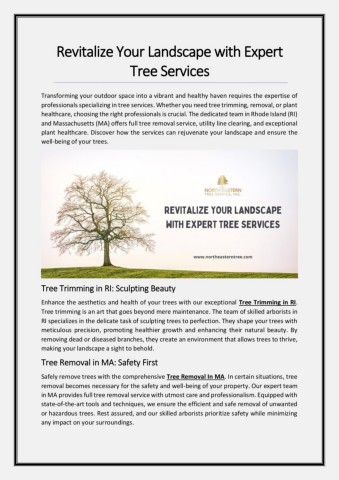 Revitalize Your Landscape with Expert Tree Services