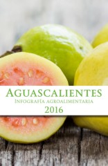 Aguascalientes-Infografia-Agroalimentaria-2016 - lbecerra - Página 1 ...