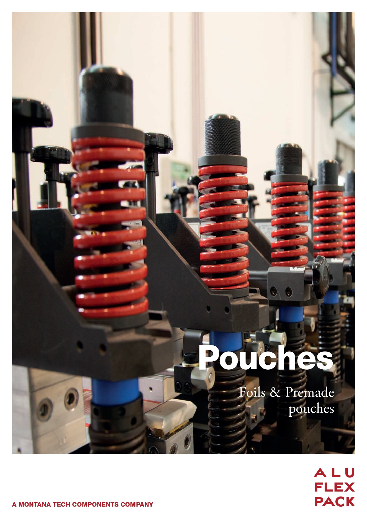 ALUFLEXPACK_GROUP_POUCH_BROCHURE - marko.naglic7 - Page 1 - 16 | Flip ...