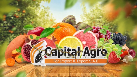 Capital Agro - Company Profile Brochure V5-