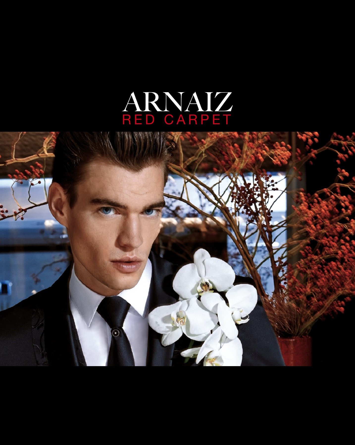 Arnaiz Red Carpet - info - Page 1 - 36 | Flip PDF Online | PubHTML5