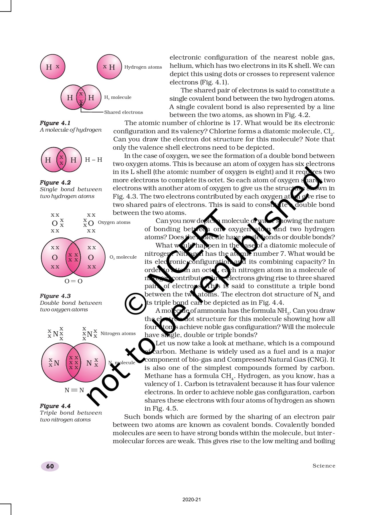 SCIENCE TEXTBOOK - abel biju - Page 71 | Flip PDF Online | PubHTML5