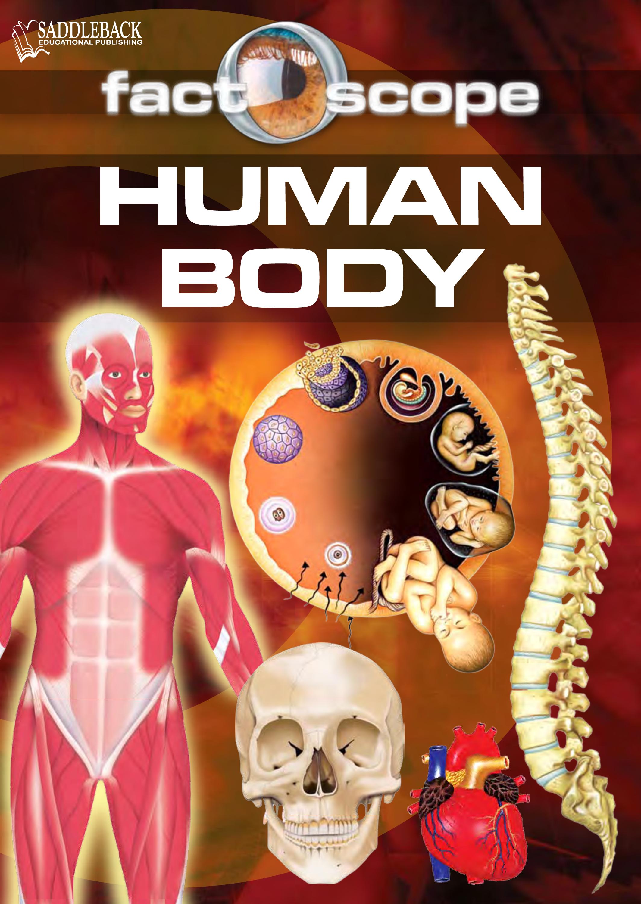 FactScope - Human Body - Flip eBook Library - Page 1 - 66 | Flip PDF ...