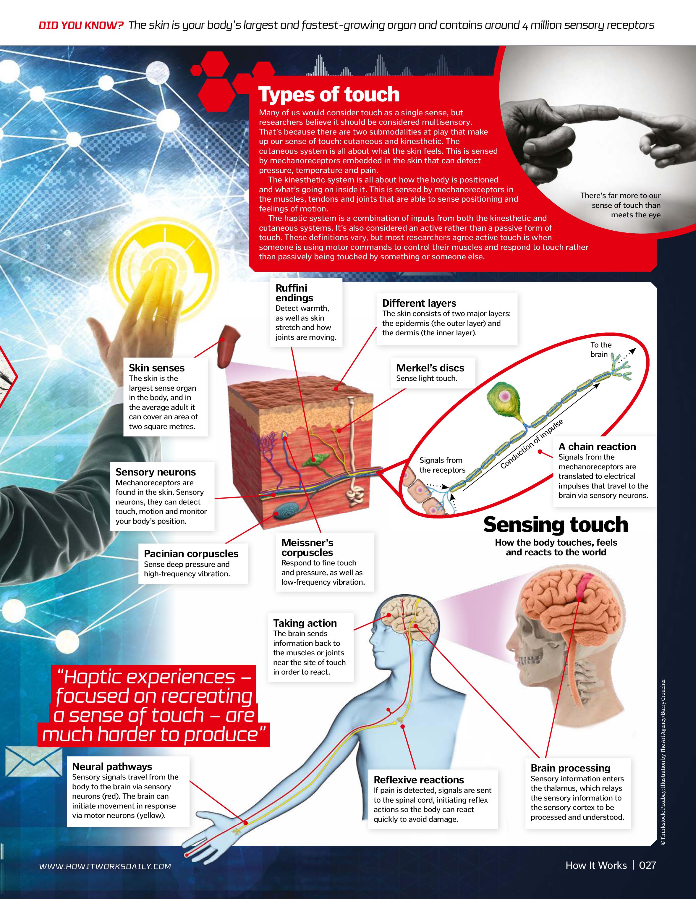 How it Works - The Last Days Of The Dinosaurs (Issue 101) - Flip eBook ...