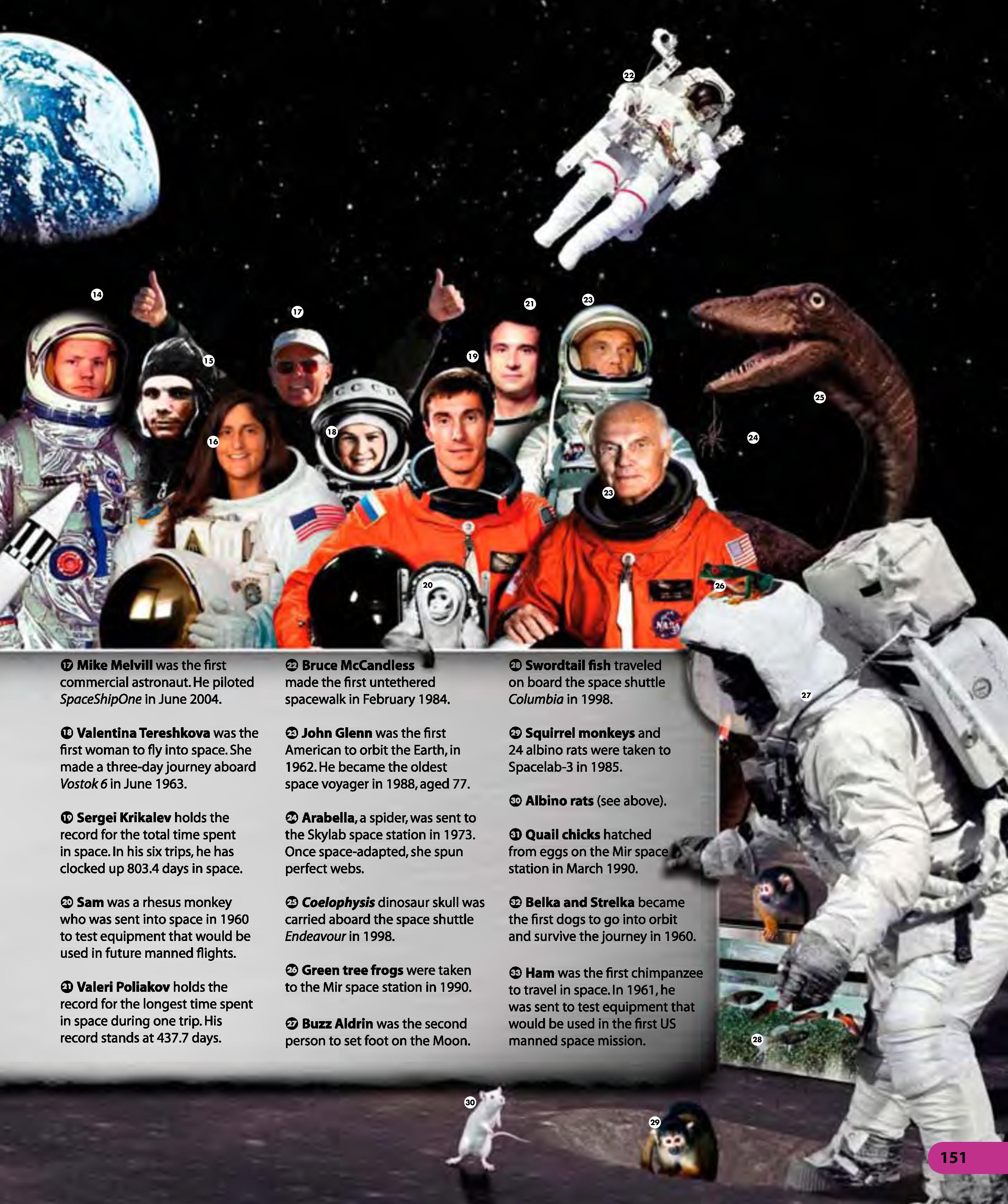 (DK) One Million Things - A Visual Encyclopedia - Flip eBook Library ...