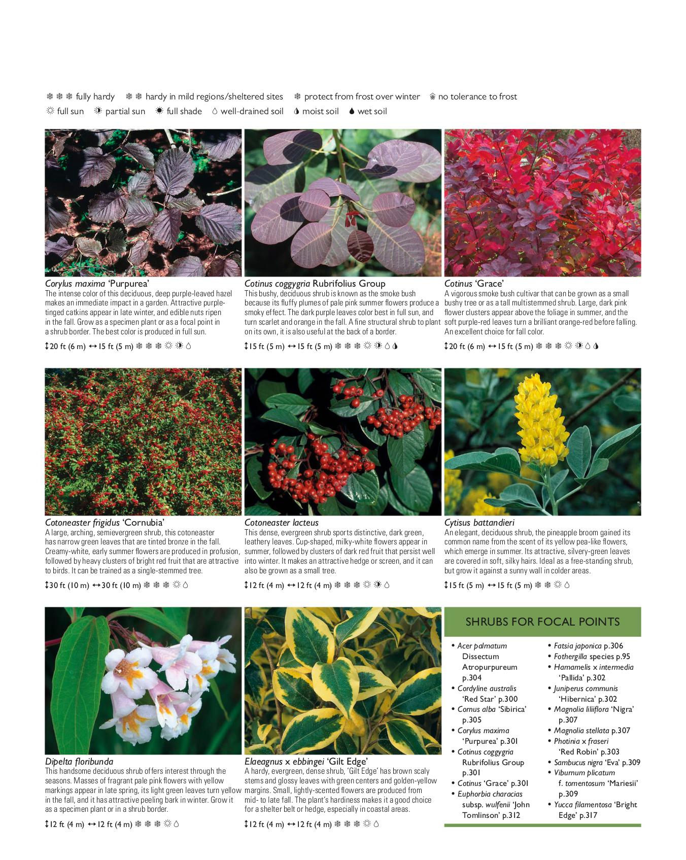 (DK) Encyclopedia of Landscape Design - Flip eBook Library - Page 303 ...