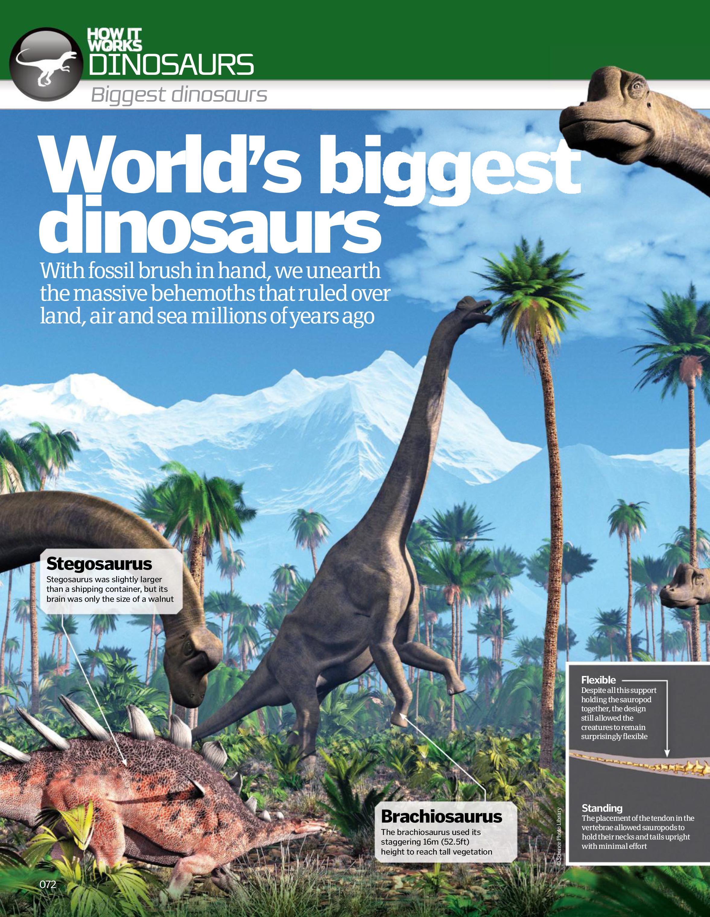 How It Works - Book of Dinosaurs (4th Edition) - Flip eBook Library ...