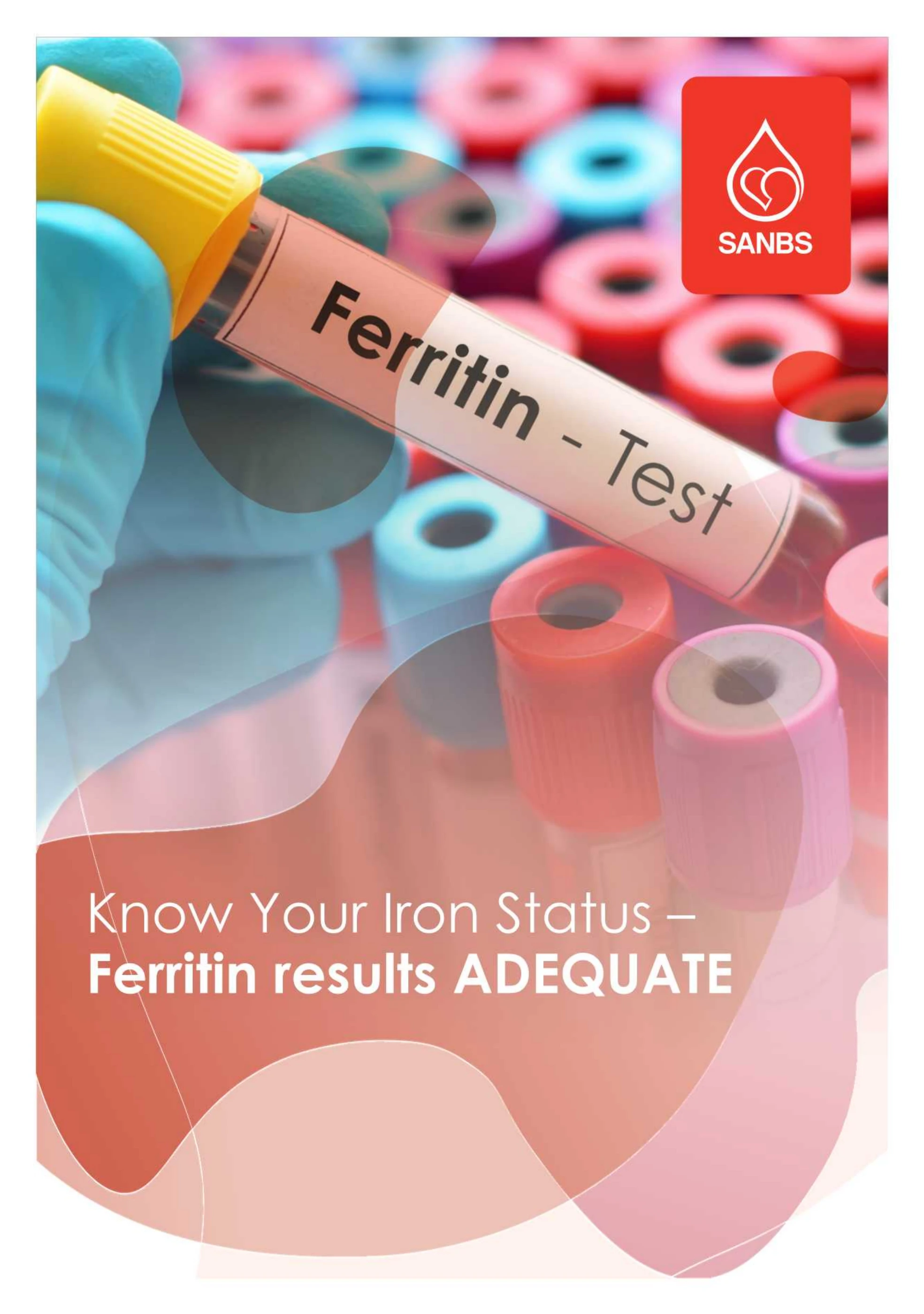 Adequate Ferritin V2 - clive.brandon - Page 1 - 6 | Flip PDF Online ...