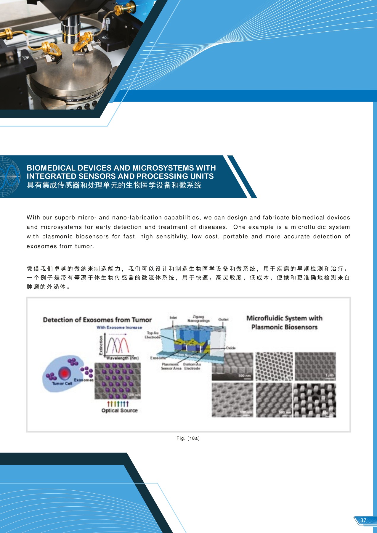CityU_brochure2021_v6_20211007 - tina.wu - 页 40 | 在线翻页PDF | PubHTML5