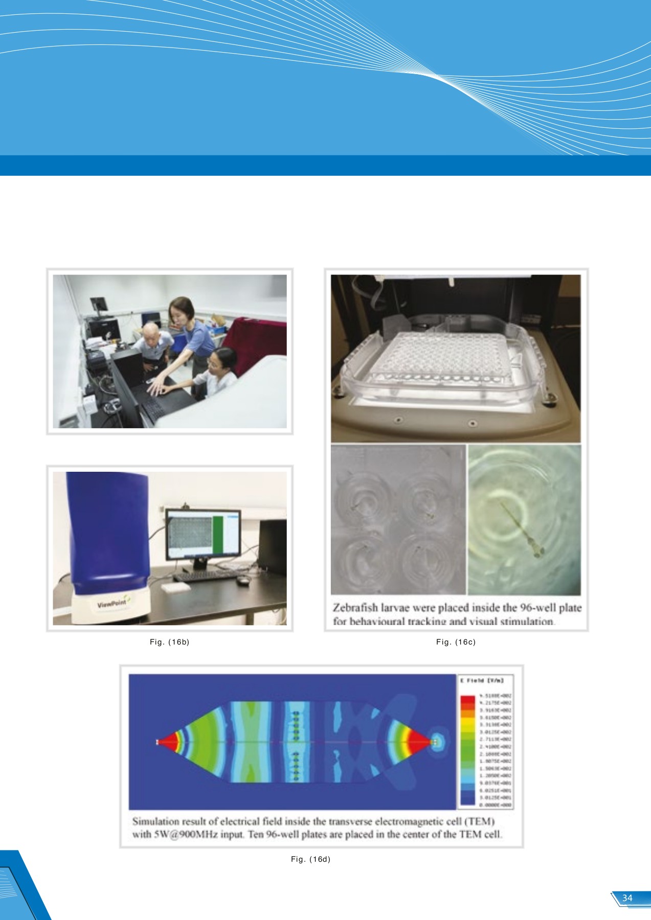 CityU_brochure2021_v11_20211119 - tina.wu - 页 37 | 在线翻页PDF | PubHTML5