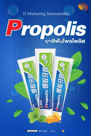 Propolis Toothpaste Thai - dmithailand003 - Page 1 - 6 | Flip PDF ...