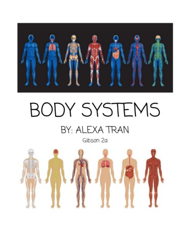 BODY SYSTEMS-12