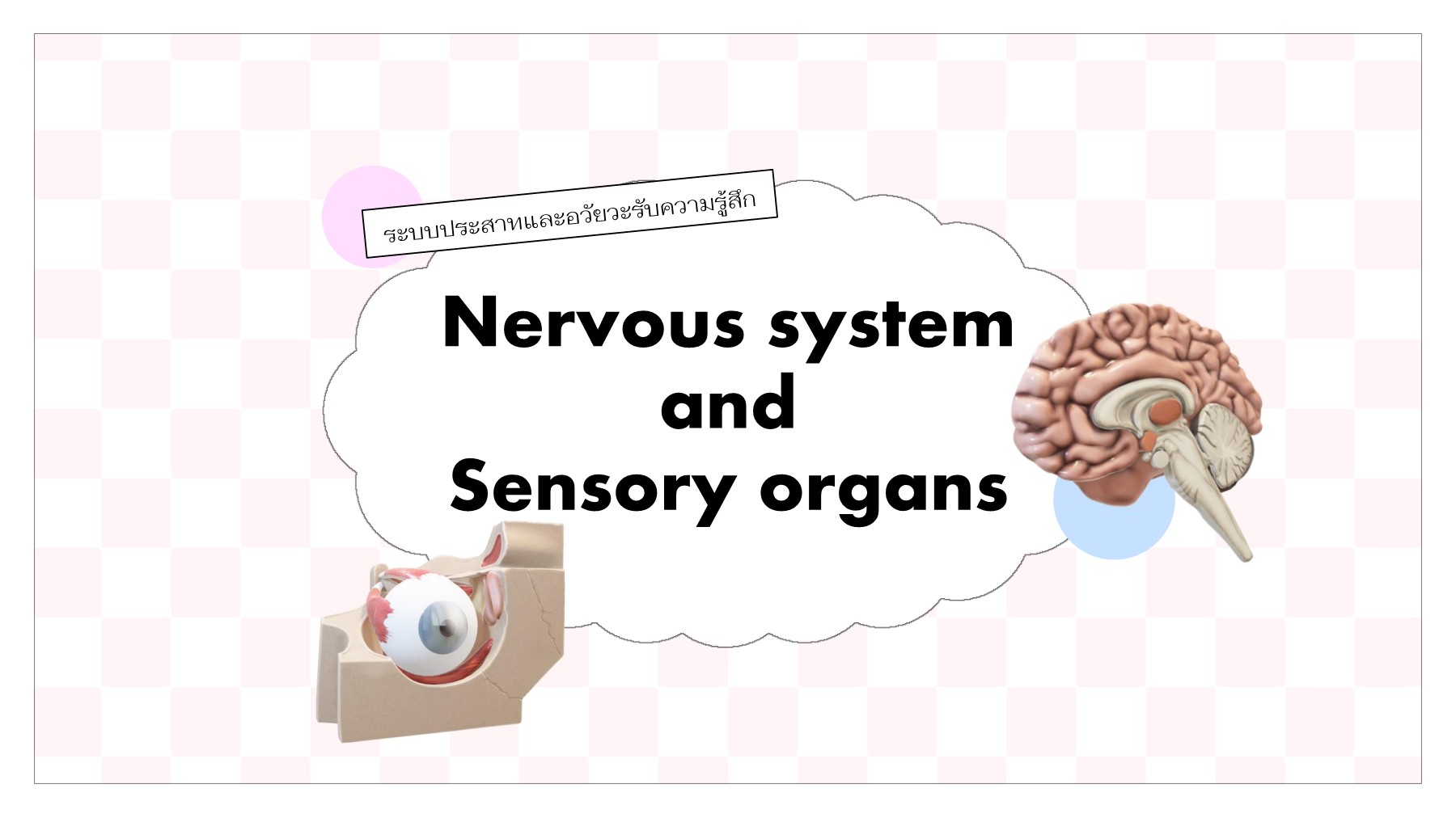 Nervous system and Sensory organs - n0ey chan!ka - หน้าหนังสือ 1 - 63 ...